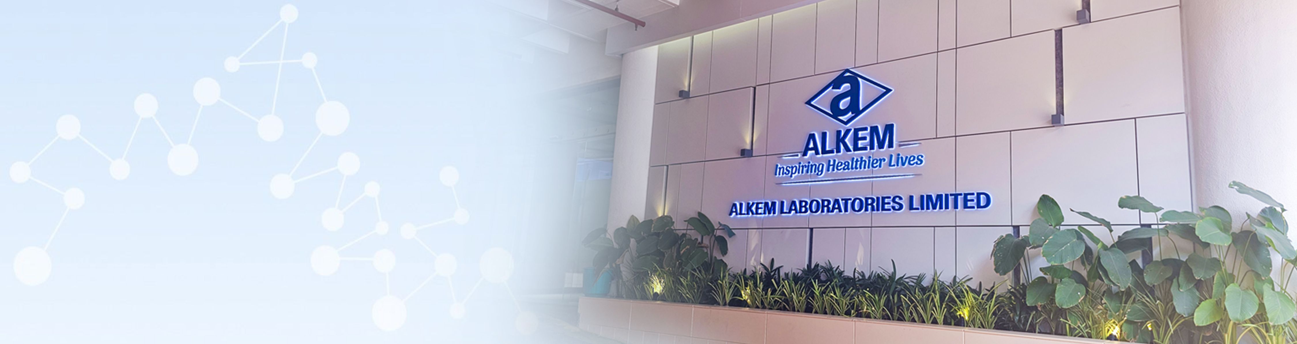 Alkem - About Alkem